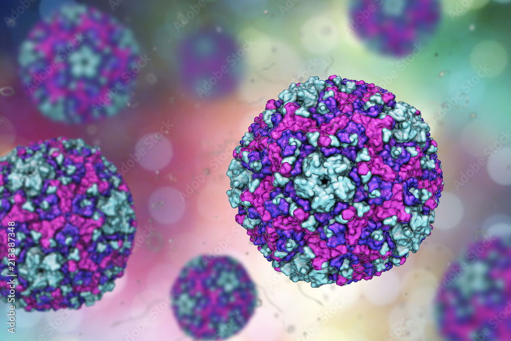 Coxsackievirus, 3D illustration. RNA virus from Picornaviridae family ...