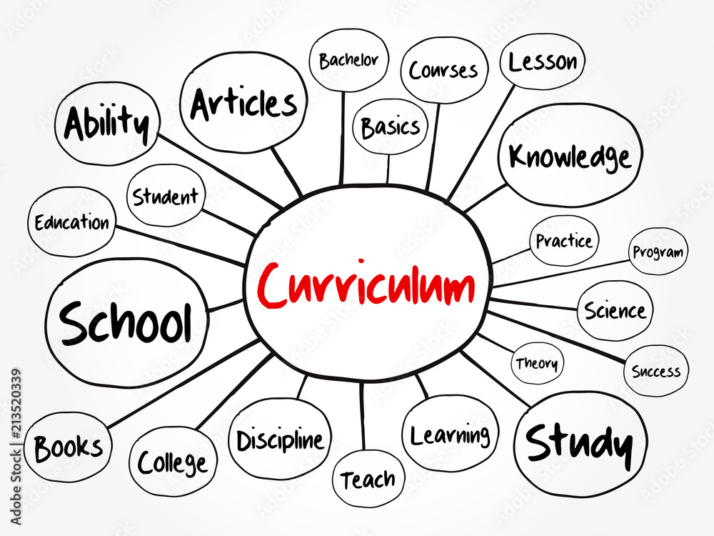 Curriculum mind map flowchart, education concept for presentations and ...