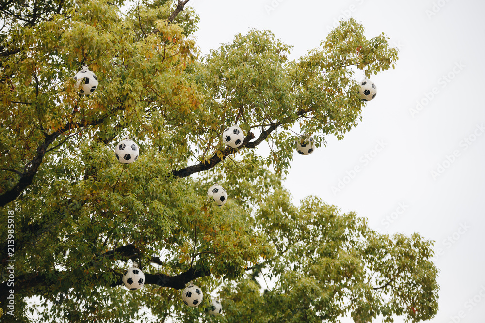 high tree decorated with soccer balls in honor of the completion of the ...