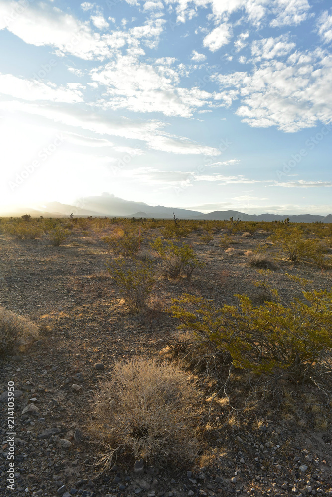 Mojave Desert valley mountain range landscape Pahrump, Nevada,USA Stock ...