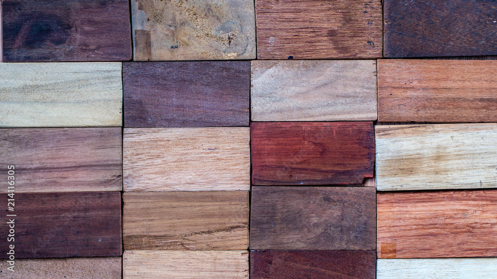 wood specimen from different tropical hardwood that grow in Indonesia ...