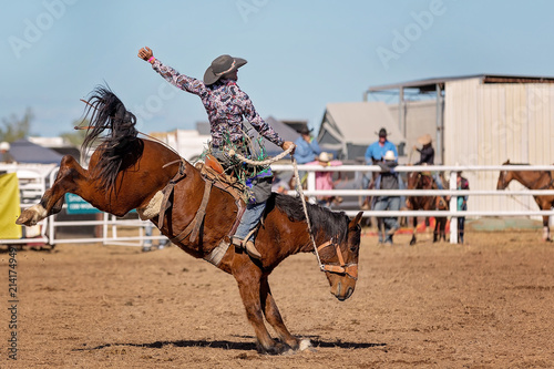 Bucking Bronco Horse At Country Rodeo Stock Photo | Adobe Stock