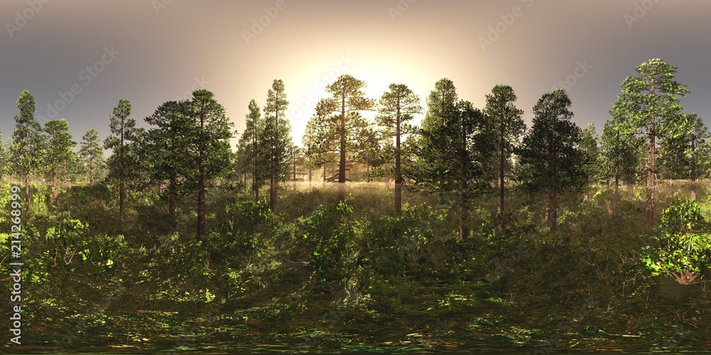 Trees in the fog. Environment map. HDRI map. equidistant projection ...