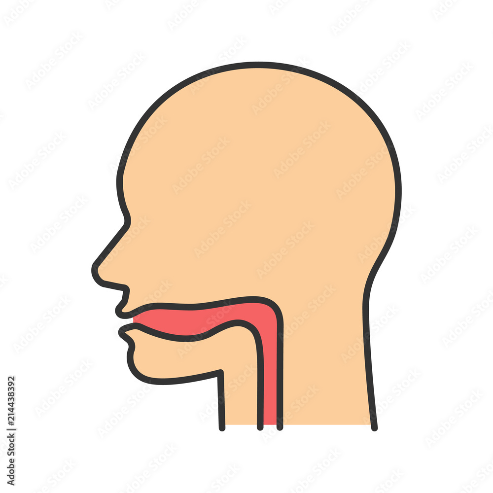 Oral cavity, pharynx and esophagus color icon Stock Vector | Adobe Stock