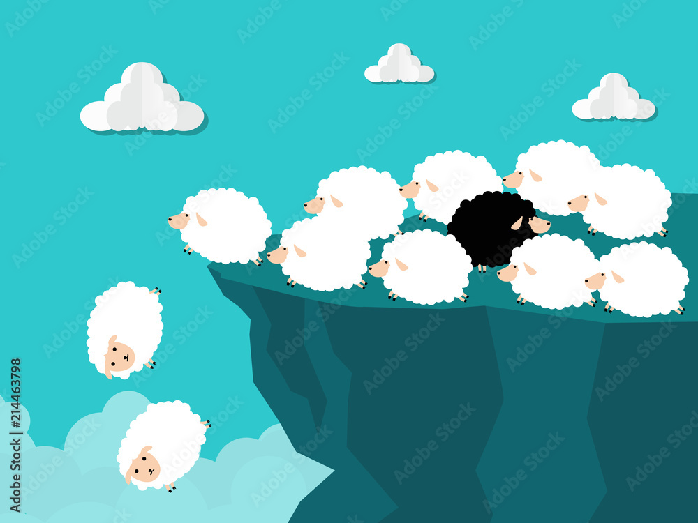 Black sheep running out of cliff. White sheep group running and falling ...