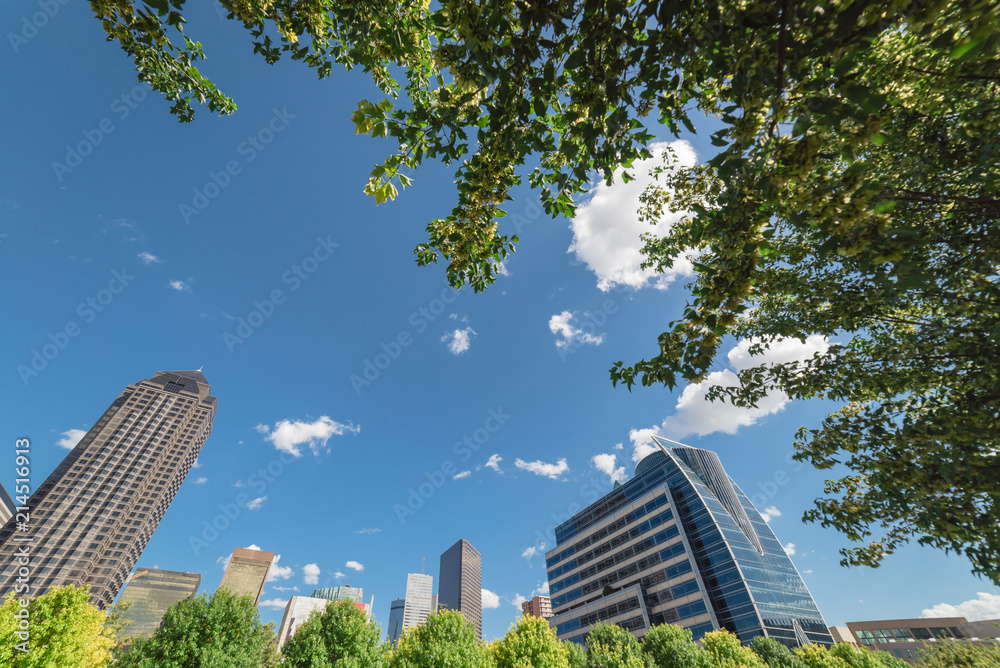 Green urban park in downtown Dallas with sunburst in sunny day. Low ...