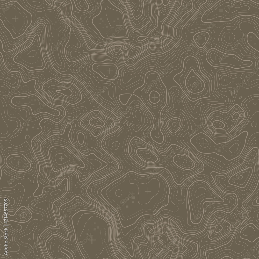 Seamless topographic map contour background. Topo map with elevation ...