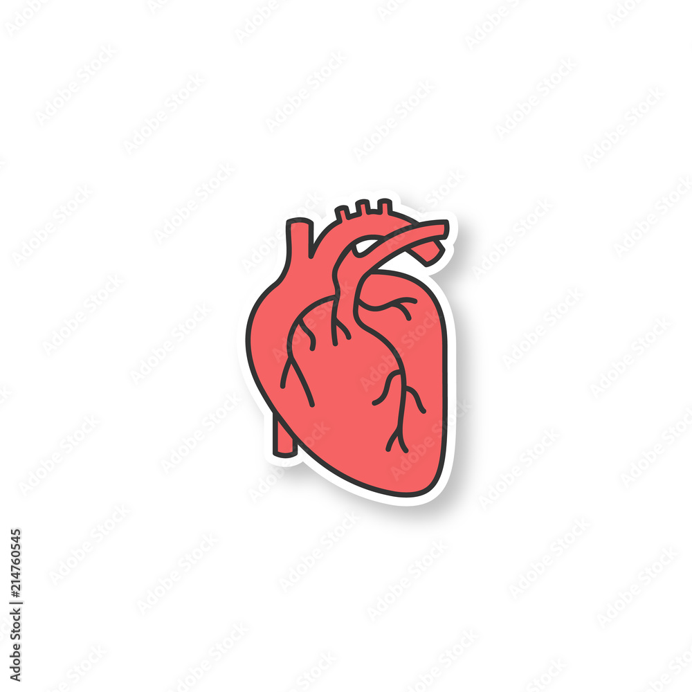 Human heart anatomy patch Stock Vector | Adobe Stock