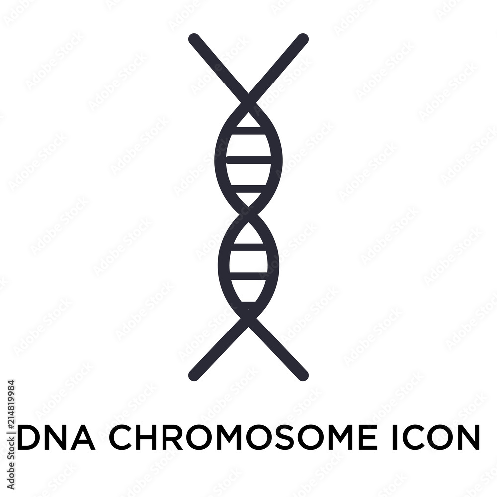 DNA chromosome icon vector sign and symbol isolated on white background, DNA chromosome logo ...