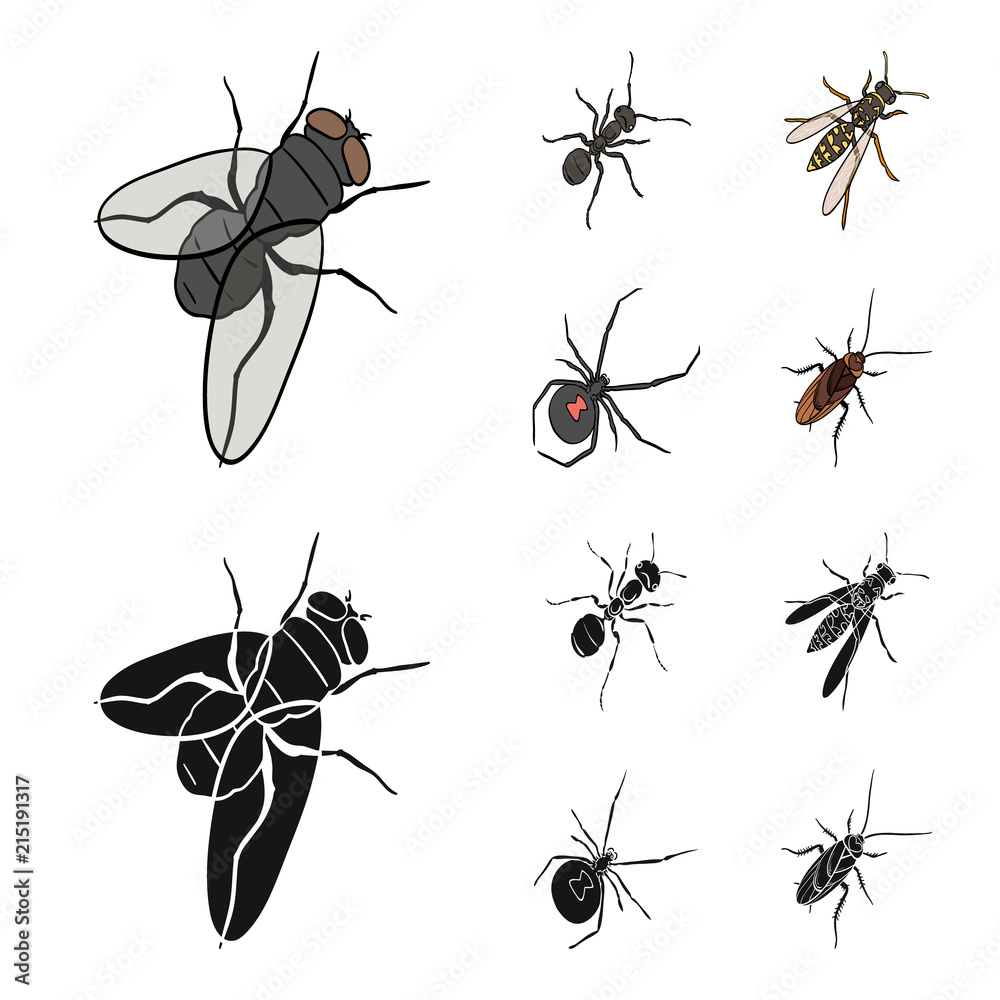 An insect arthropod, an osa, a spider, a cockroach. Insects set ...