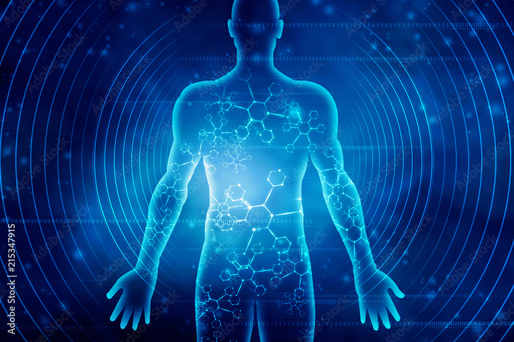 2d illustration Human Male Muscle Body Stock Illustration | Adobe Stock