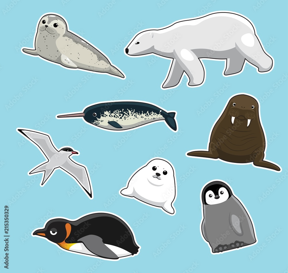 Animal Cartoon Sticker Set 1 Arctic Stock Vector | Adobe Stock