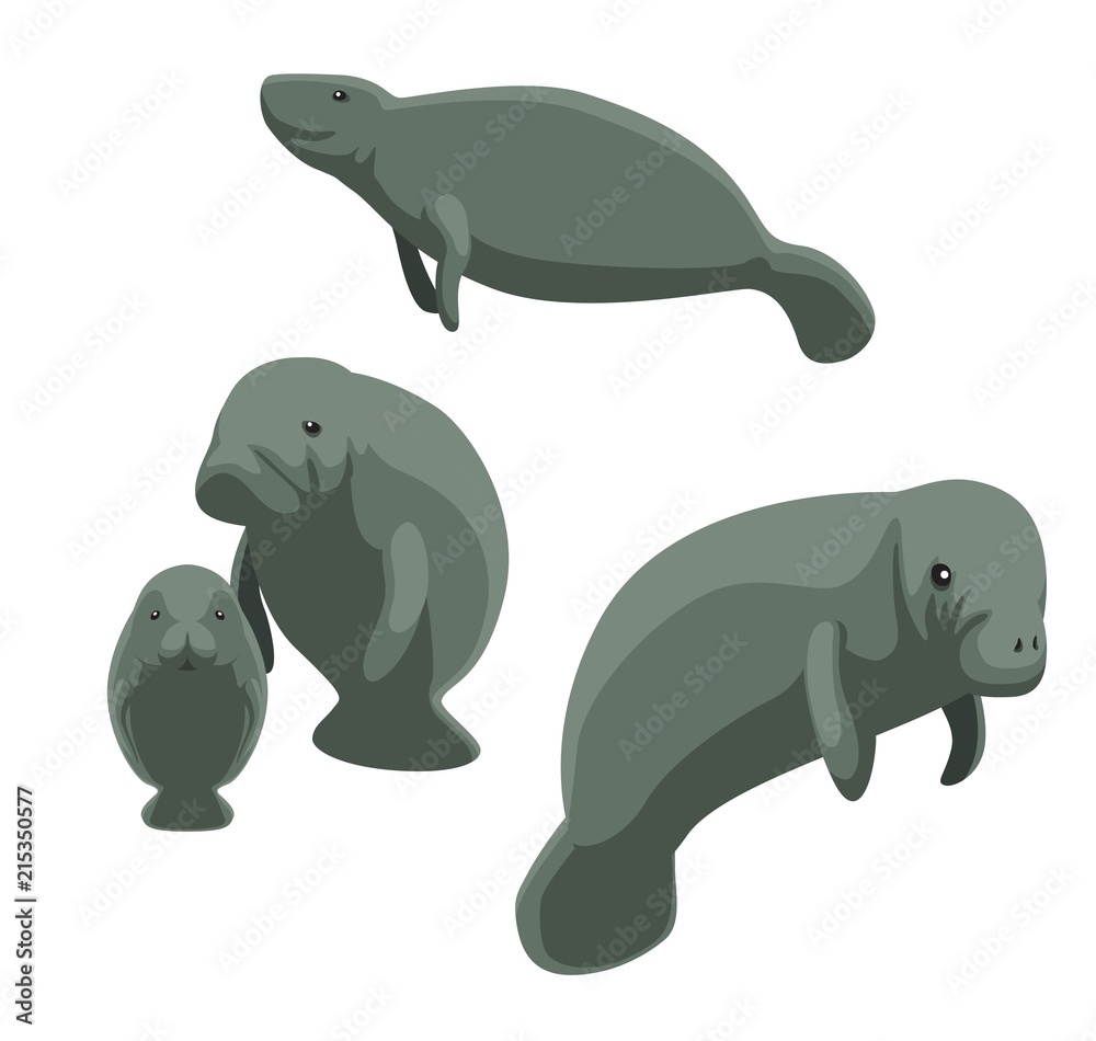 Cute Manatee Poses Cartoon Vector Illustration Stock Vector | Adobe Stock