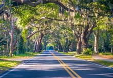 Countryside In Georgia Free Stock Photo - Public Domain Pictures