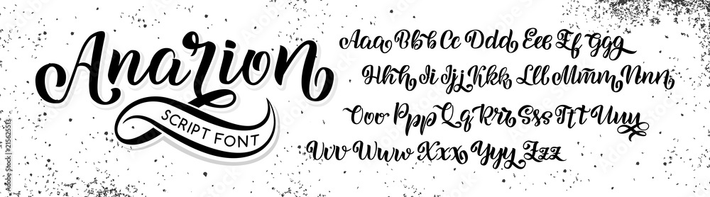 Hand drawn typeface. Brush painted letters. Handwritten script alphabet ...