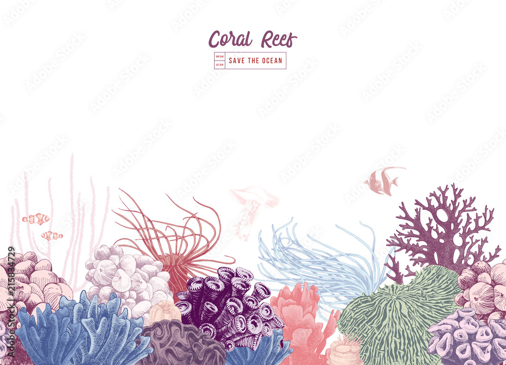 Hand drawn colorful coral border Stock Vector | Adobe Stock