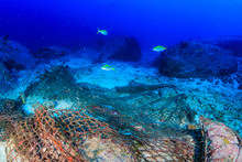 Seabed Pollution Free Stock Photo - Public Domain Pictures