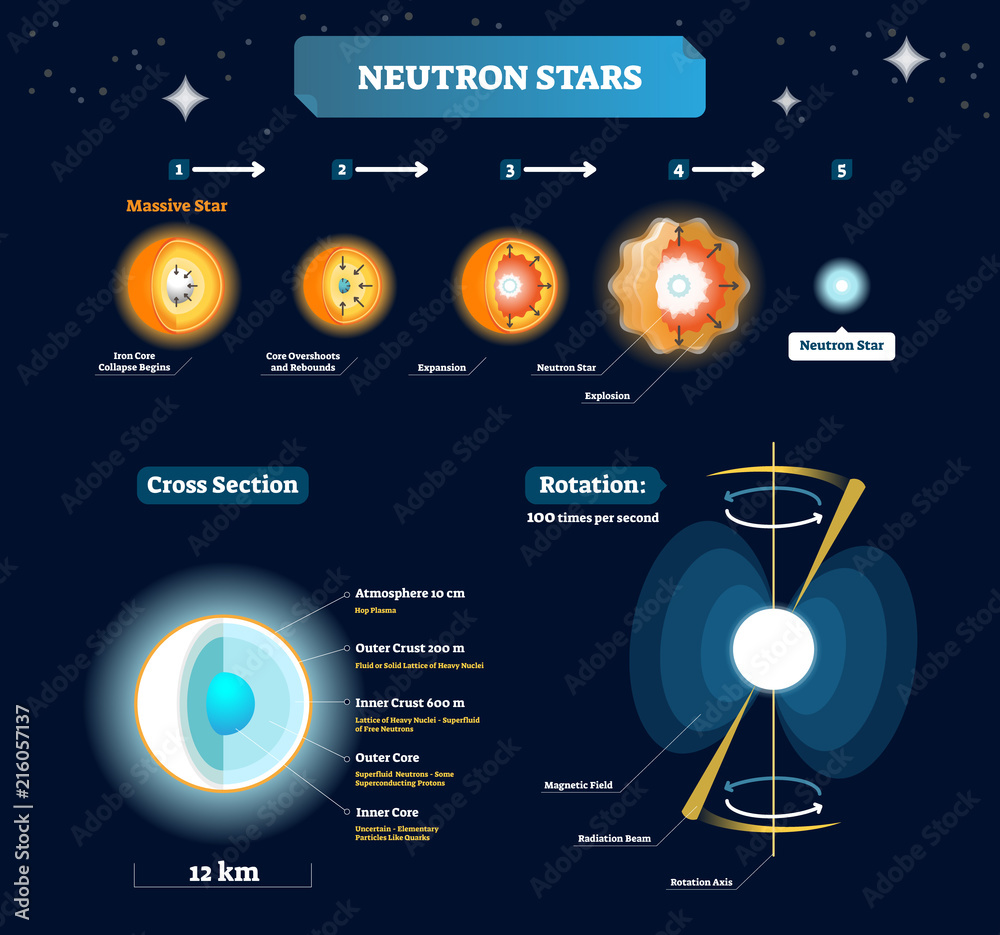 Neutron stars vector illustration. Educational labeled scheme with ...