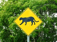 Mountain Lion Crossing Sign Free Stock Photo - Public Domain Pictures
