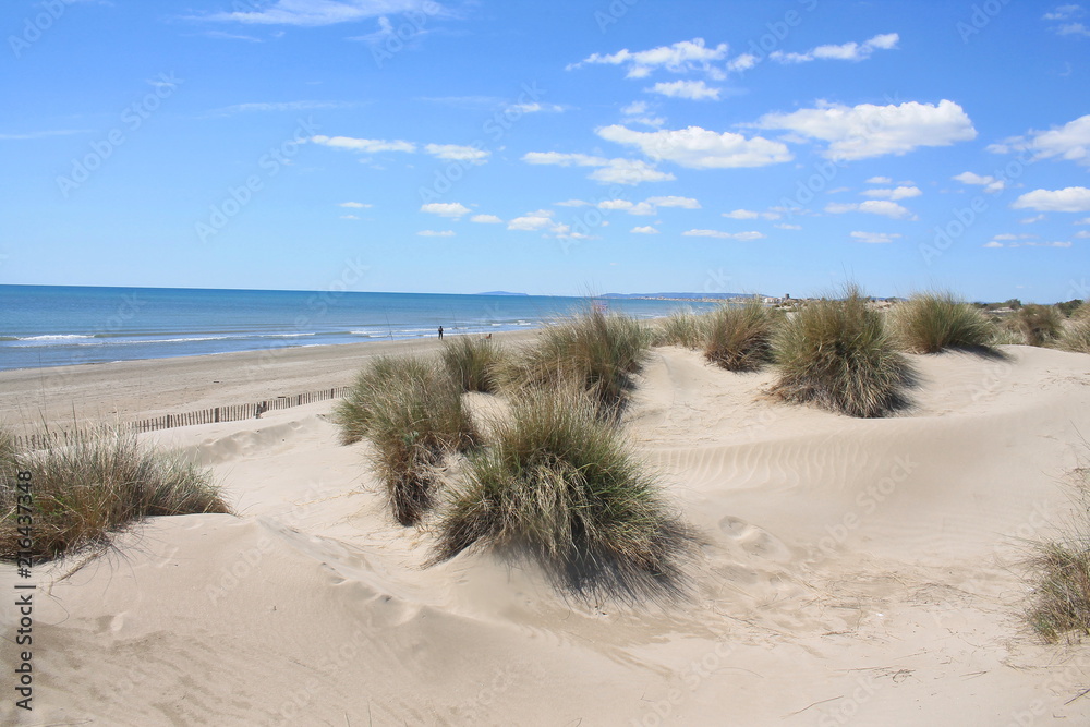 Plage de rêve dans le Languedoc, le petit travers, plage de sable fin à ...