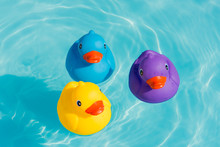 Rubber Ducky Carnival Game Free Stock Photo - Public Domain Pictures