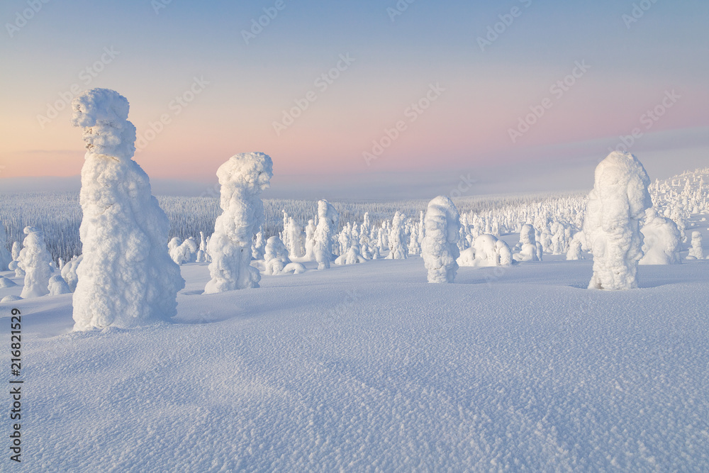 Typical ice sculptures in the woods of Riisitunturi national park ...