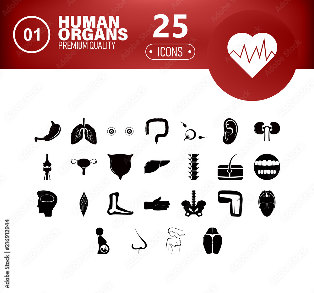 Human organ signs or body parts symbols icon set Stock Vector | Adobe Stock