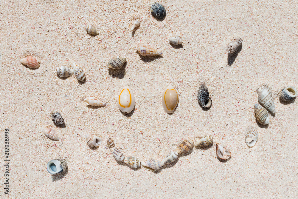 Composition of smile made of many beautiful conch shells from a coral ...