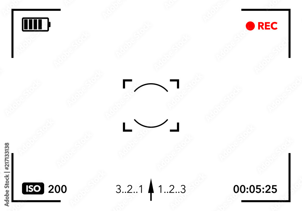 Vector Illustration Camera viewfinder with digital focus and exposure ...
