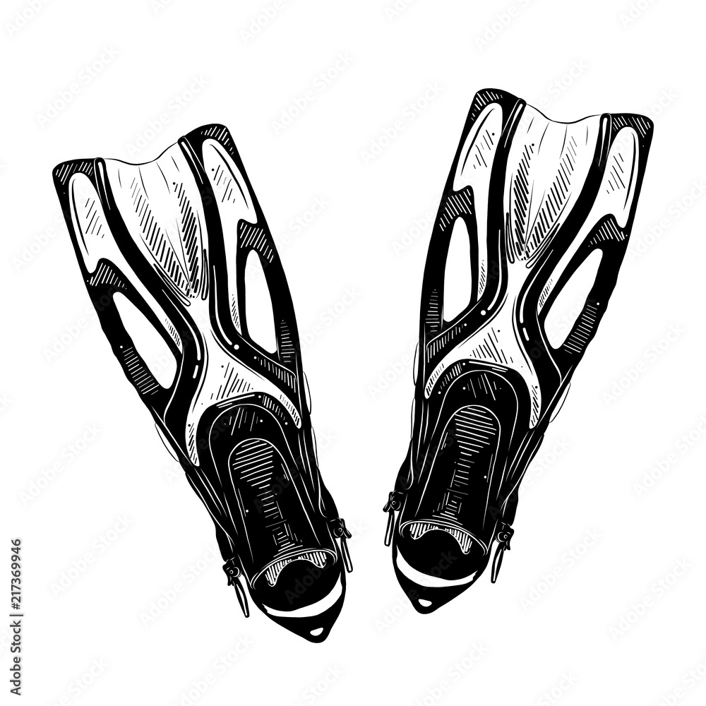 Vector engraved style illustration for posters, decoration and print ...