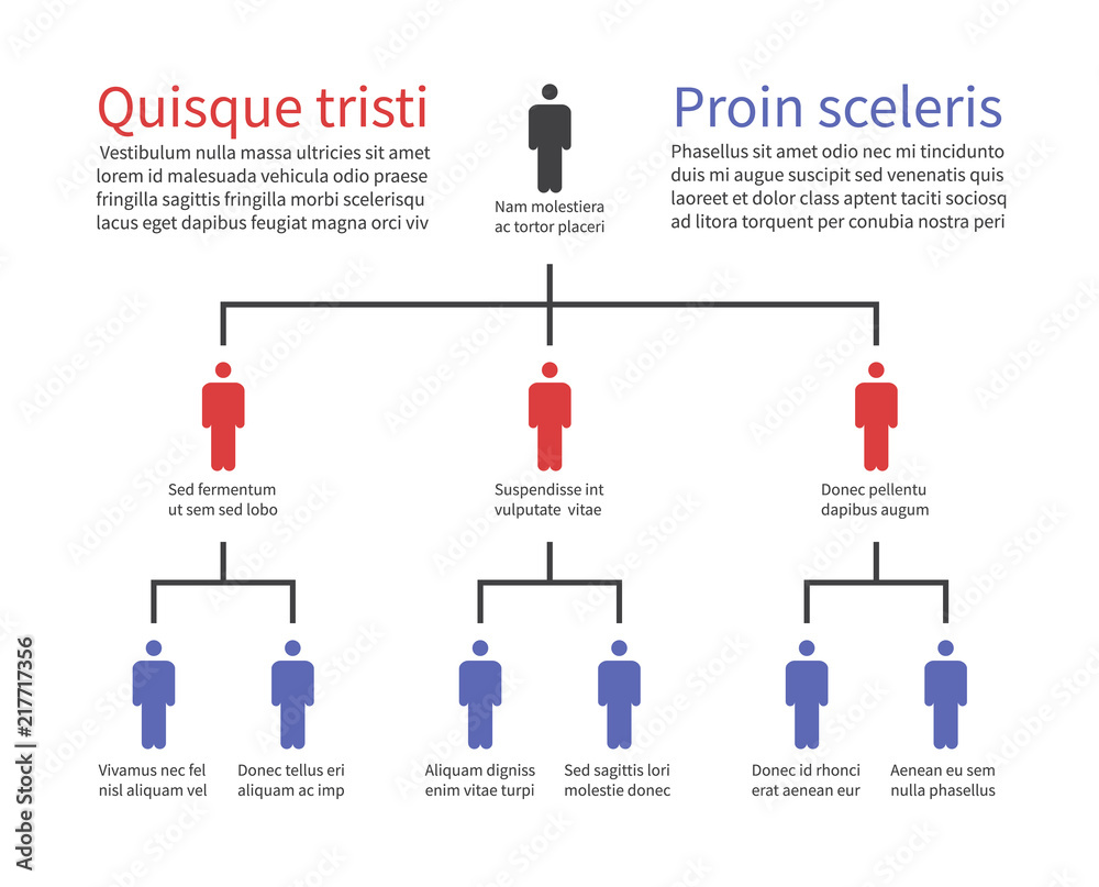 Pyramid hierarchy chart, business organization structure with people ...