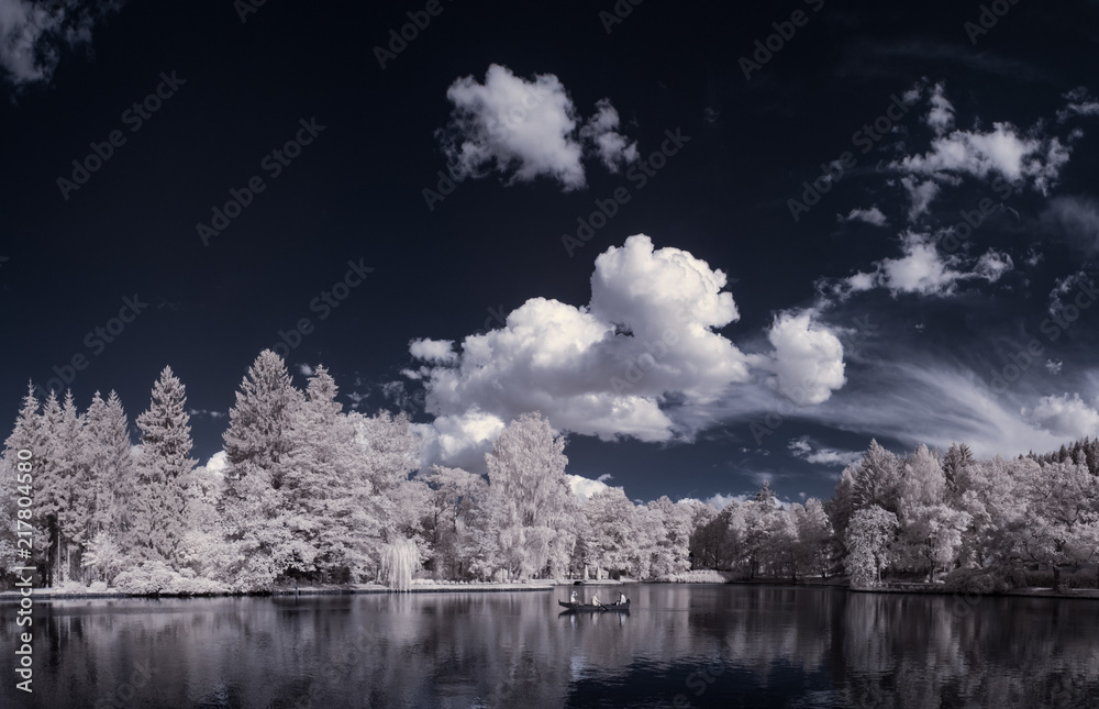infrared photography - ir photo of landscape with tree under sky with ...