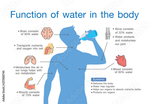 Function of water in the human body. Illustration about medical and ...