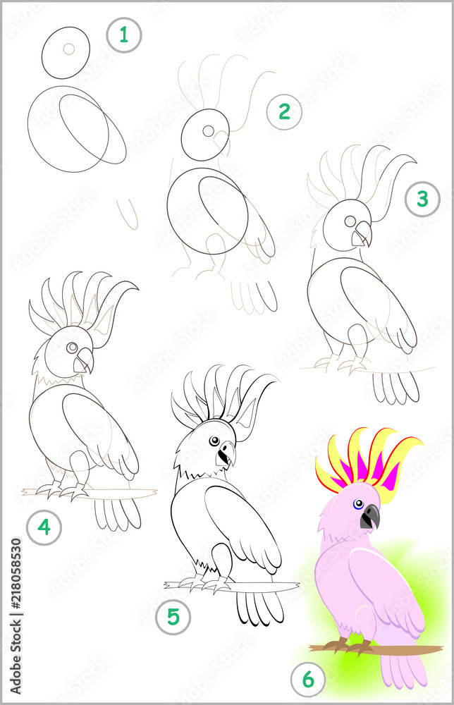 Page shows how to learn step by step to draw a cute little cockatoo ...