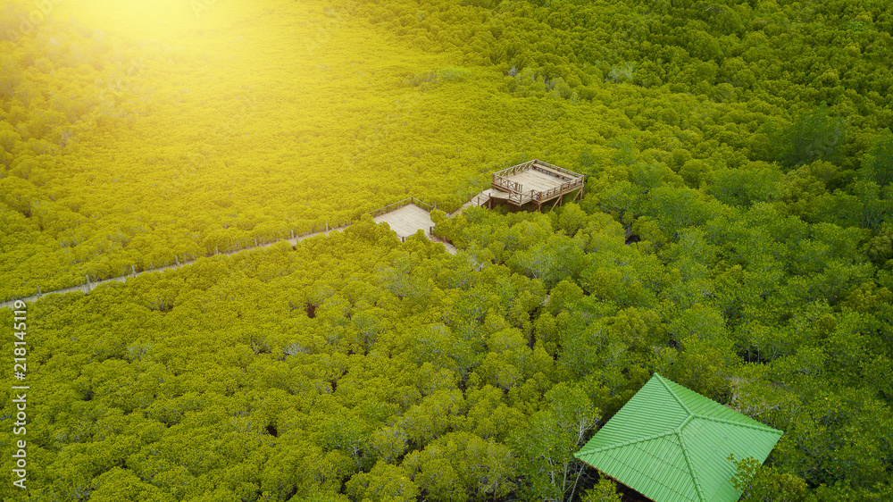 Mangroves inTung Prong Thong or Golden Mangrove Field at Estuary Pra ...
