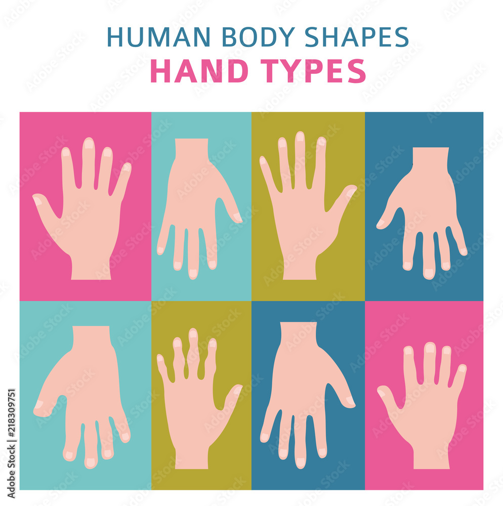 Stock-Vektorgrafik „Human body shapes. Hand types icon set“ | Adobe Stock