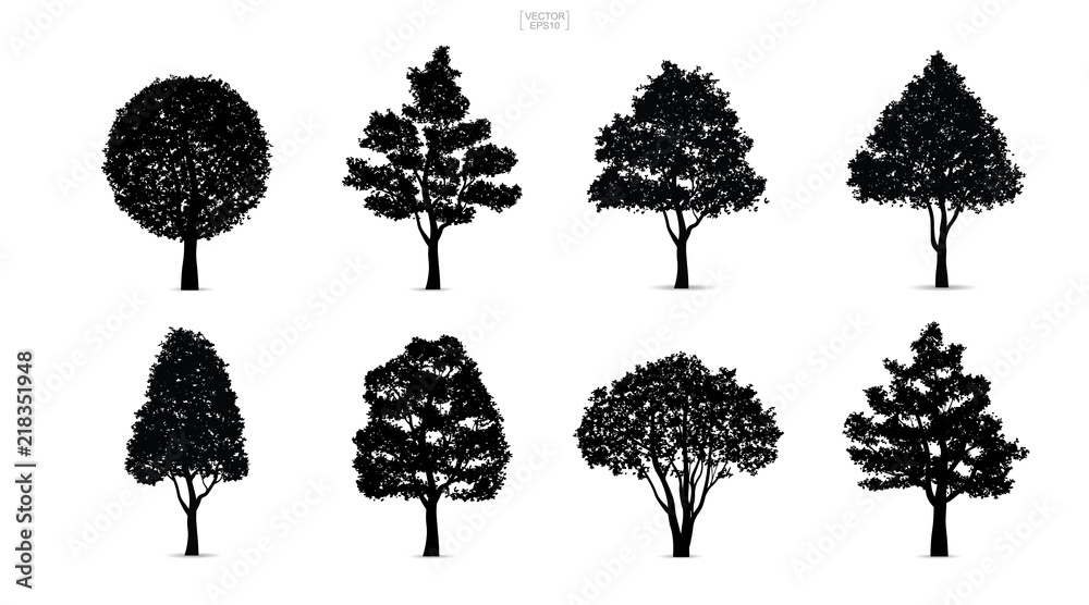 Set of tree silhouettes isolated on white background for landscape ...