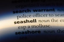 Sea Shells Dictionary Page Free Stock Photo - Public Domain Pictures