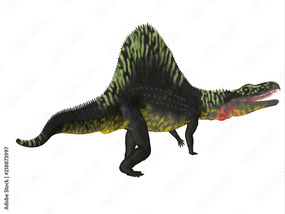 Arizonasaurus Dinosaur Tail - Arizonasaurus was a carnivorous theropod ...