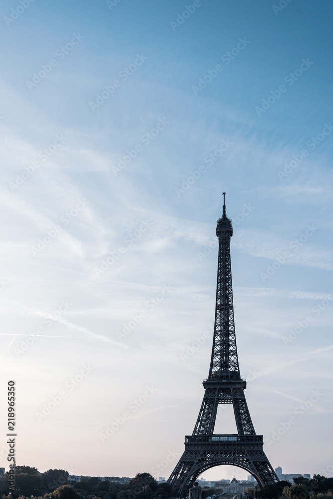 The Eiffel Tower (nickname La dame de fer, the iron lady),The tower has ...