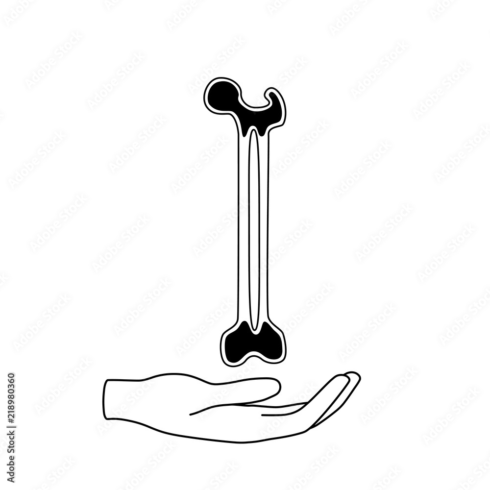 Vector illustration of bone marrow Stock Vector | Adobe Stock