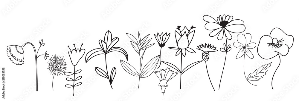 collection of botanical hand drawn doodles. meadow plants and flowers ...