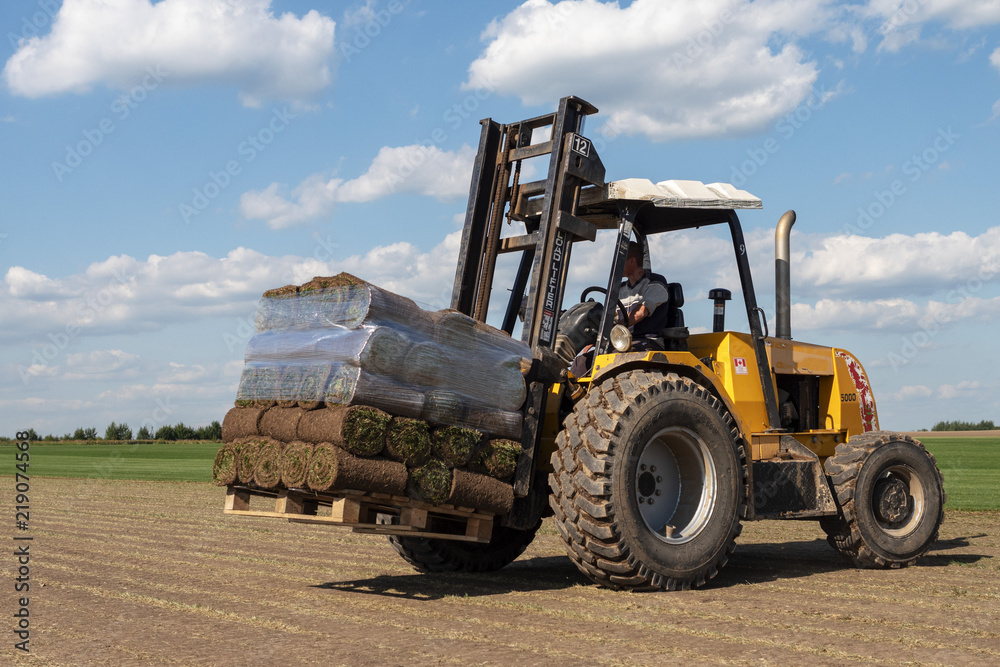 Wheel loader machine transportation pallet with green grass lawn rolls ...