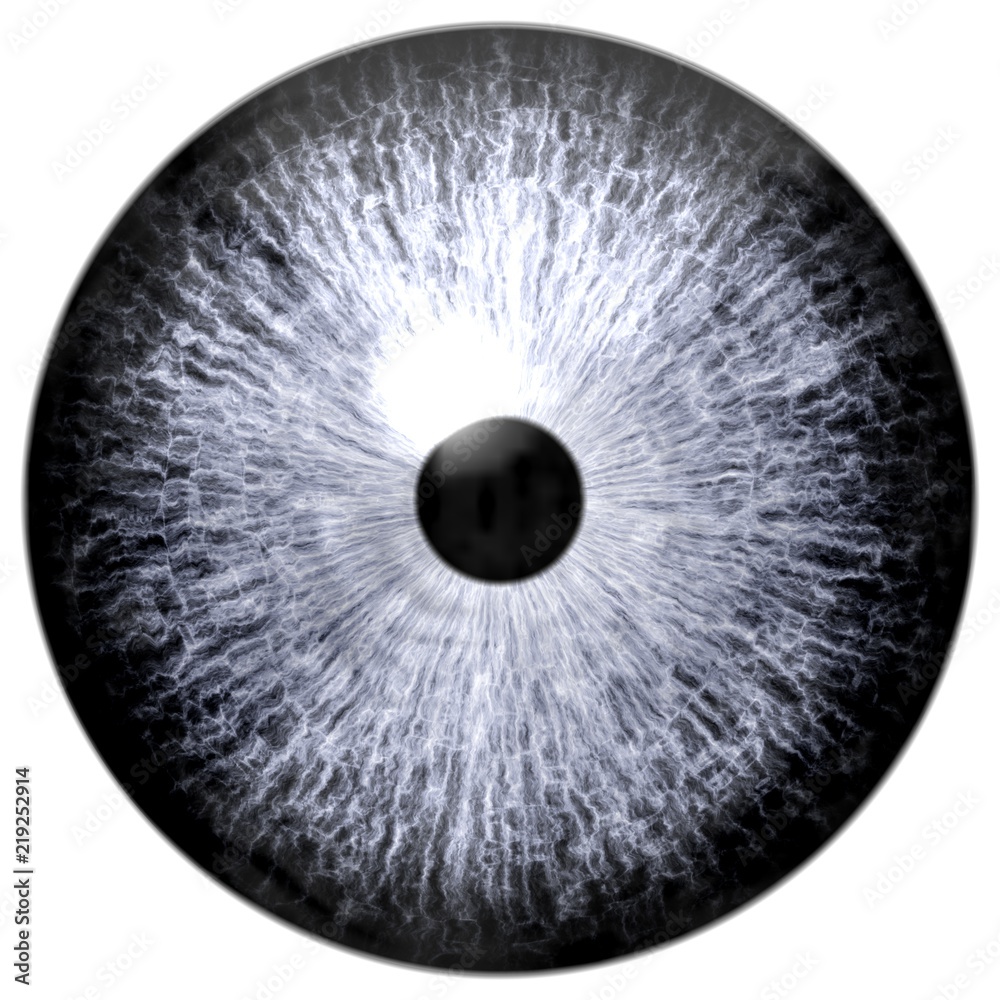 Gray eyeball texture with white background, black pulpil, white round ...