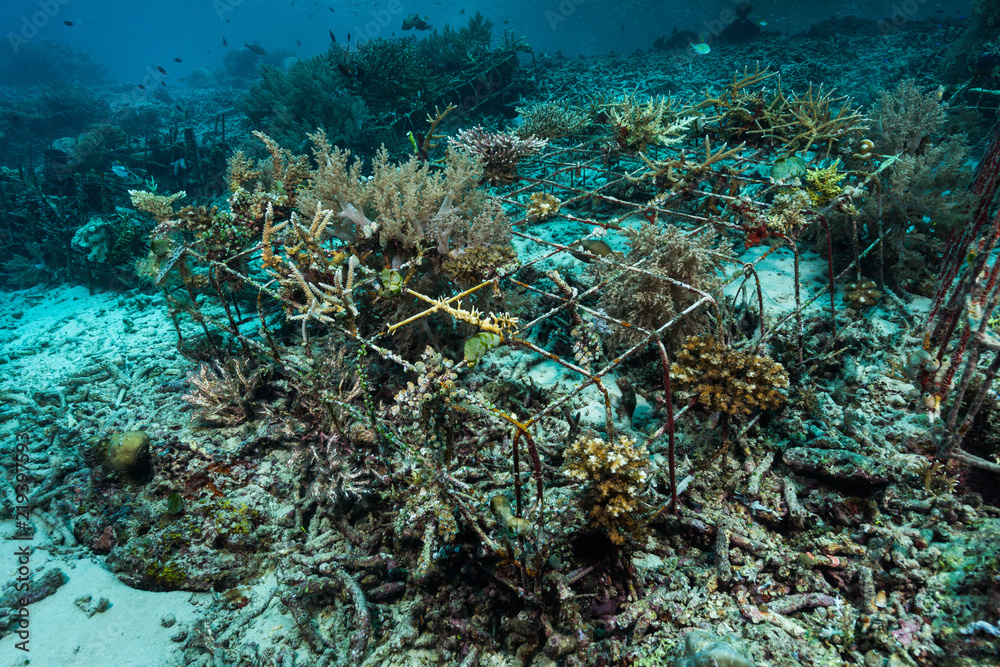 man-made artificial reef with metal struture and concrete to help ...