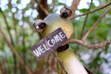 Frog Welcome Sign Free Stock Photo - Public Domain Pictures