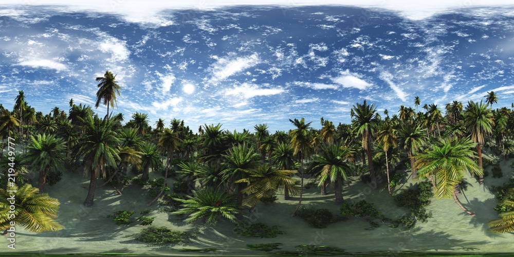 Tree of palm trees. Environment map. HDRI map. Equirectangular ...