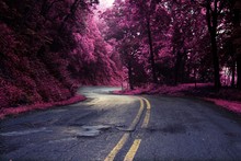 Pink Country Road Free Stock Photo - Public Domain Pictures