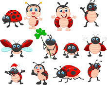 Cartoon Ladybug Wallpaper Free Stock Photo - Public Domain Pictures