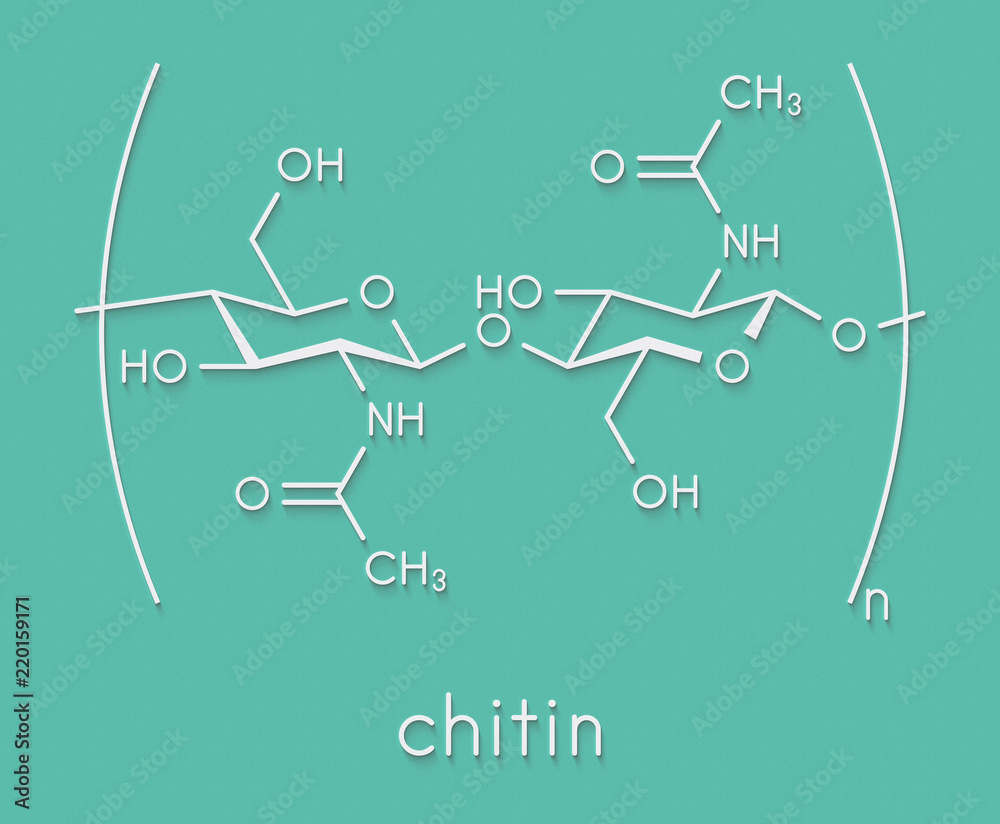 Chitin, chemical structure. Chitin is a polymer of N-acetylglucosamine ...